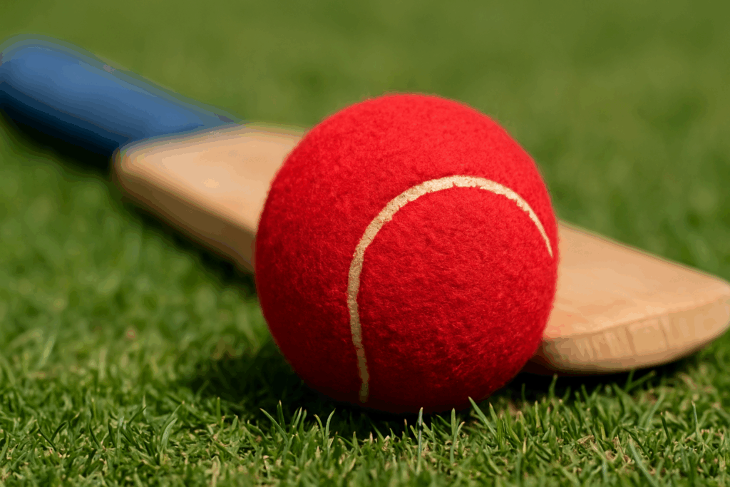 What is Red Tennis Ball Cricket and Why It's Taking Off - PLAYBOX